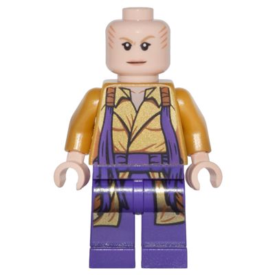 Minifigure: The Ancient One, sh0298 | The Minifig Shop