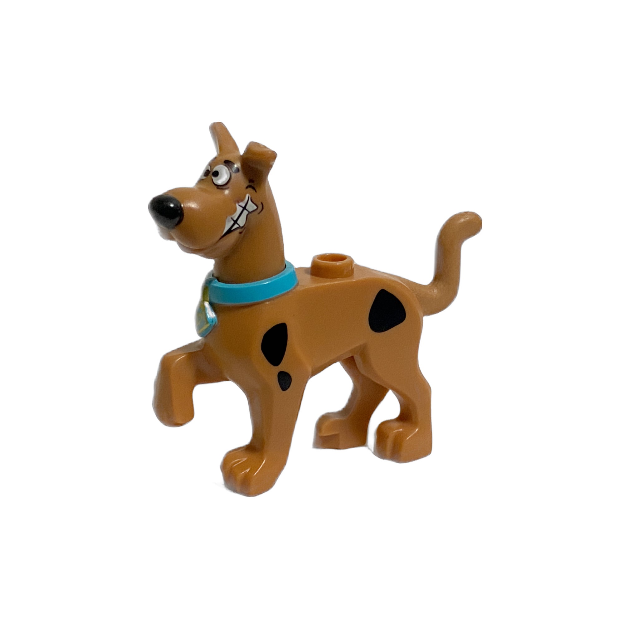 Animal: Scooby-Doo (Walking with Chattering Teeth), 21042pb01c02 | The ...